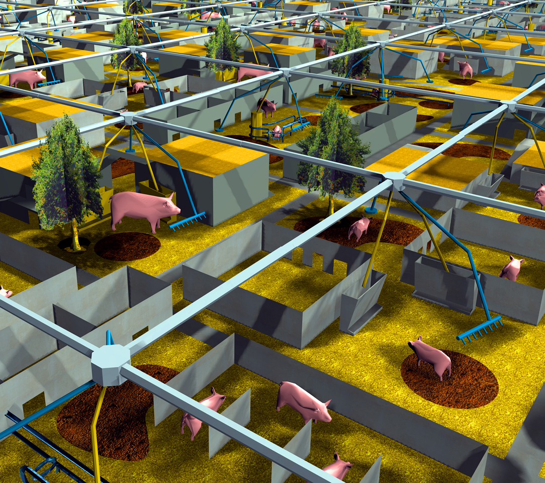 Intensive Farming Pigs Intensive Rearing Of Poultry (photo: Wikipedia)